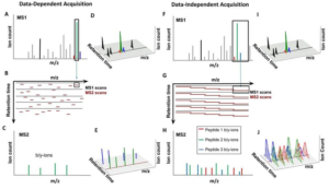 Discovery & Targeted Proteomics Services – Vproteomics
