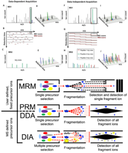 DISCOVERY & TARGETED PROTEOMICS SERVICES – Vproteomics