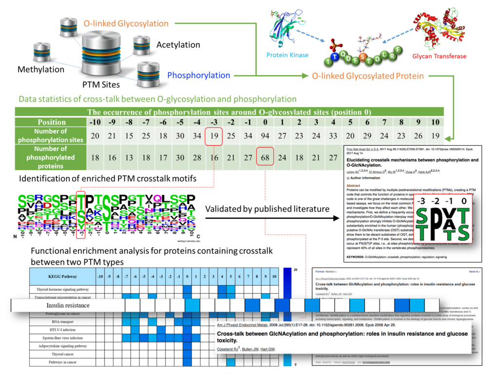 DISCOVERY & TARGETED PROTEOMICS SERVICES – Vproteomics
