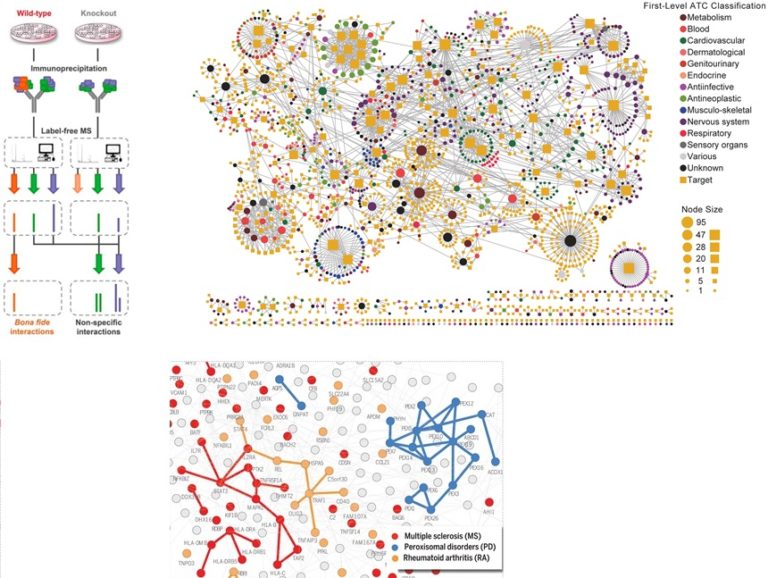 DISCOVERY & TARGETED PROTEOMICS SERVICES - Vproteomics
