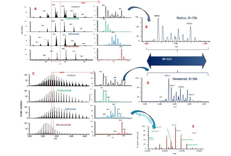Biologics Characterization Services – Vproteomics